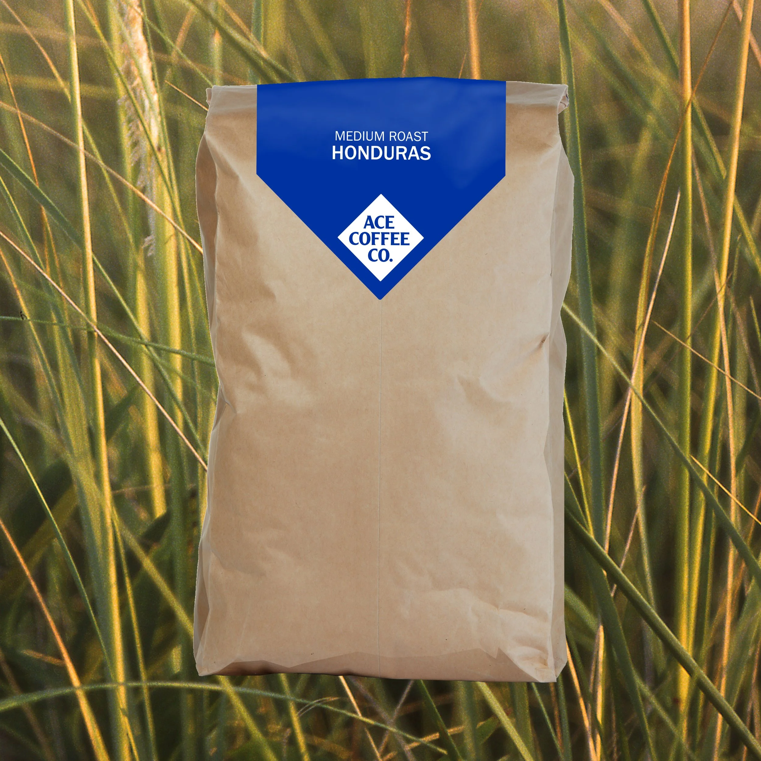 Ace Coffee | Long Island, NY Roaster | Cold Brew, Wholesale Coffee