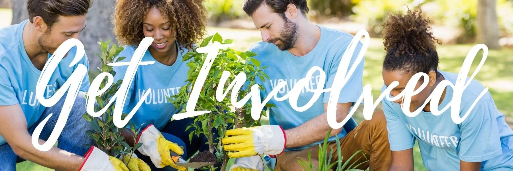 Get Involved | Give Back | Non Profits | Volunteer Opportunities ...