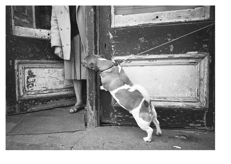 Reginald Tucker — London 1968–1972 — Café Royal Books