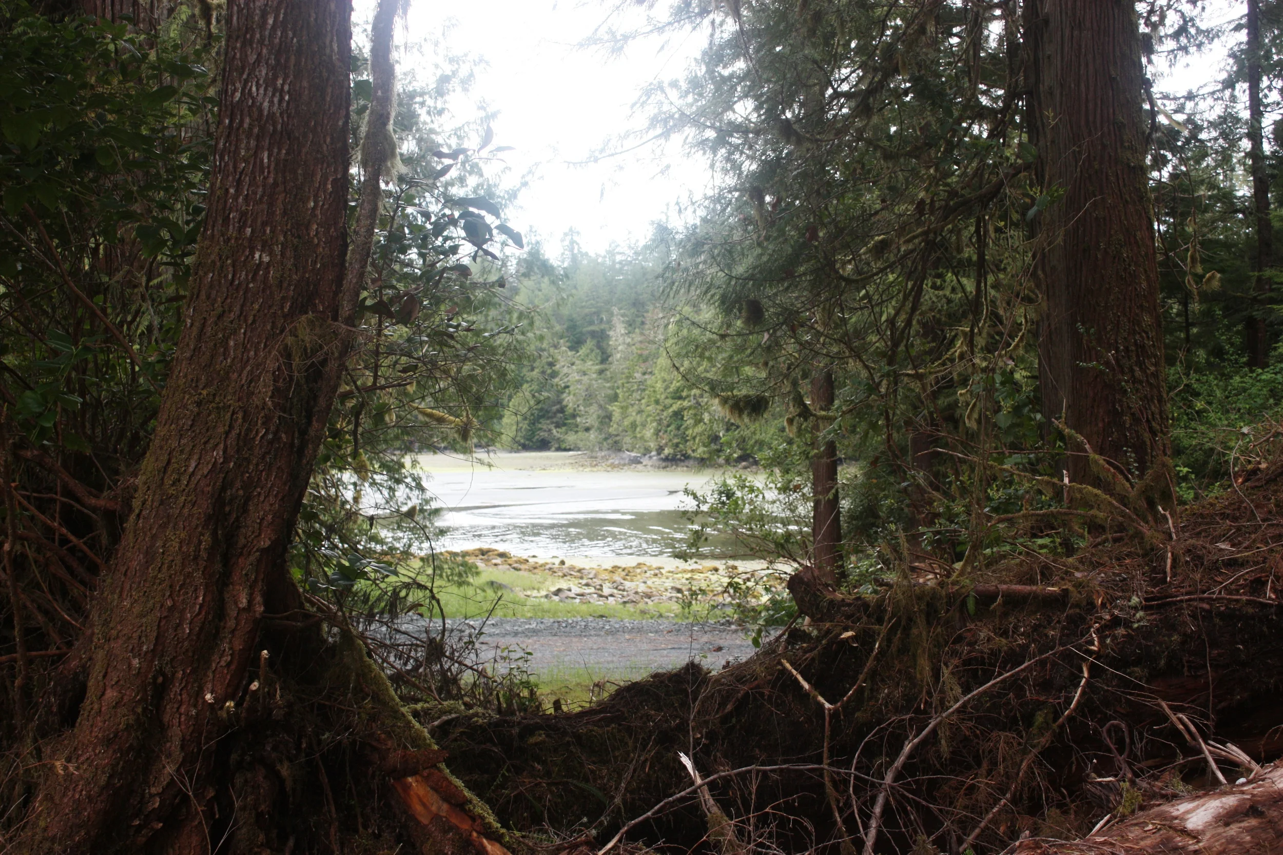 Gallery — Secret Beach Campground