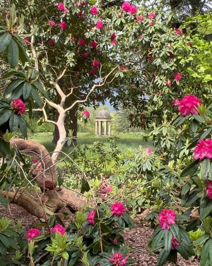 About — Oliver Gerrish