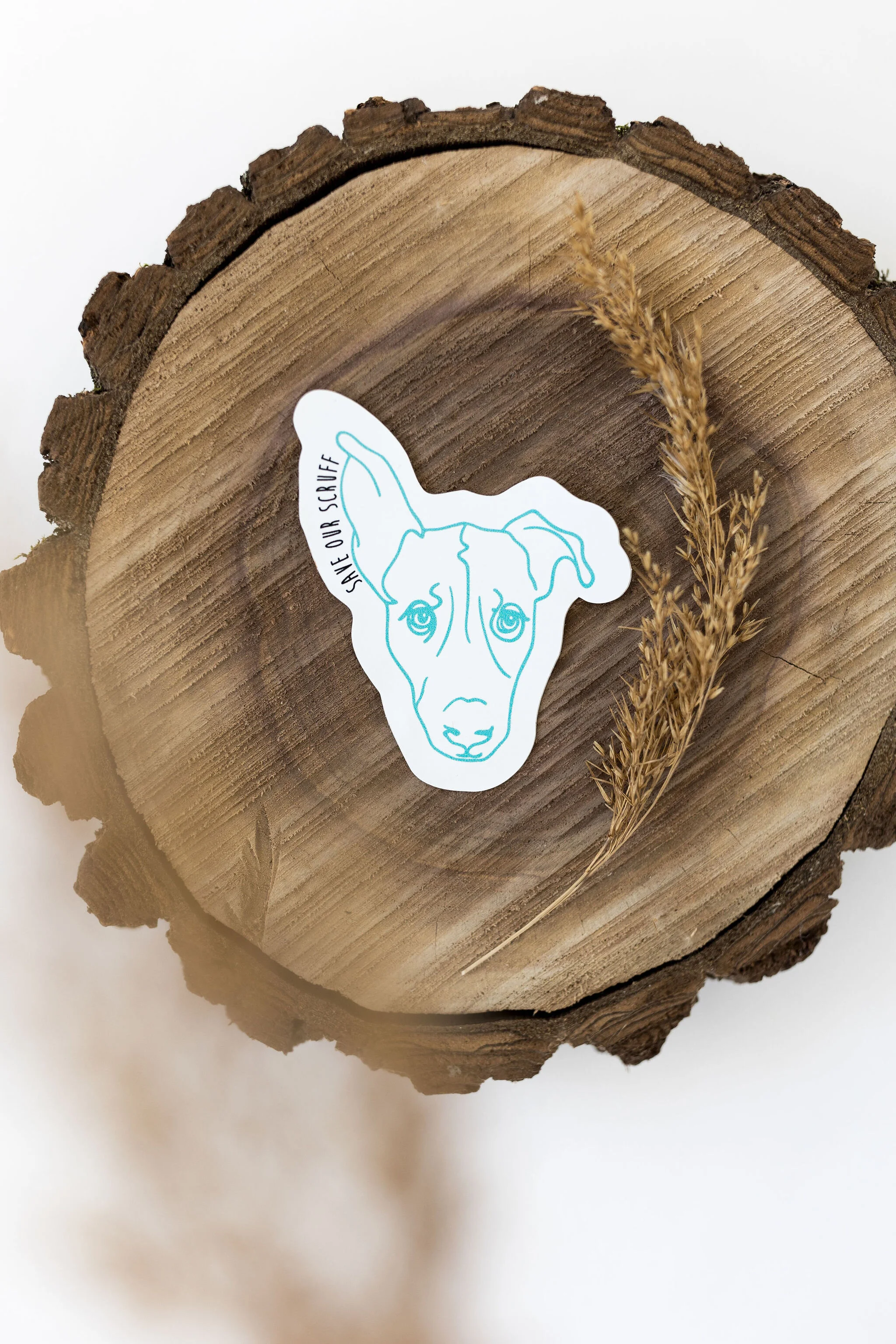 Shop — Save Our Scruff