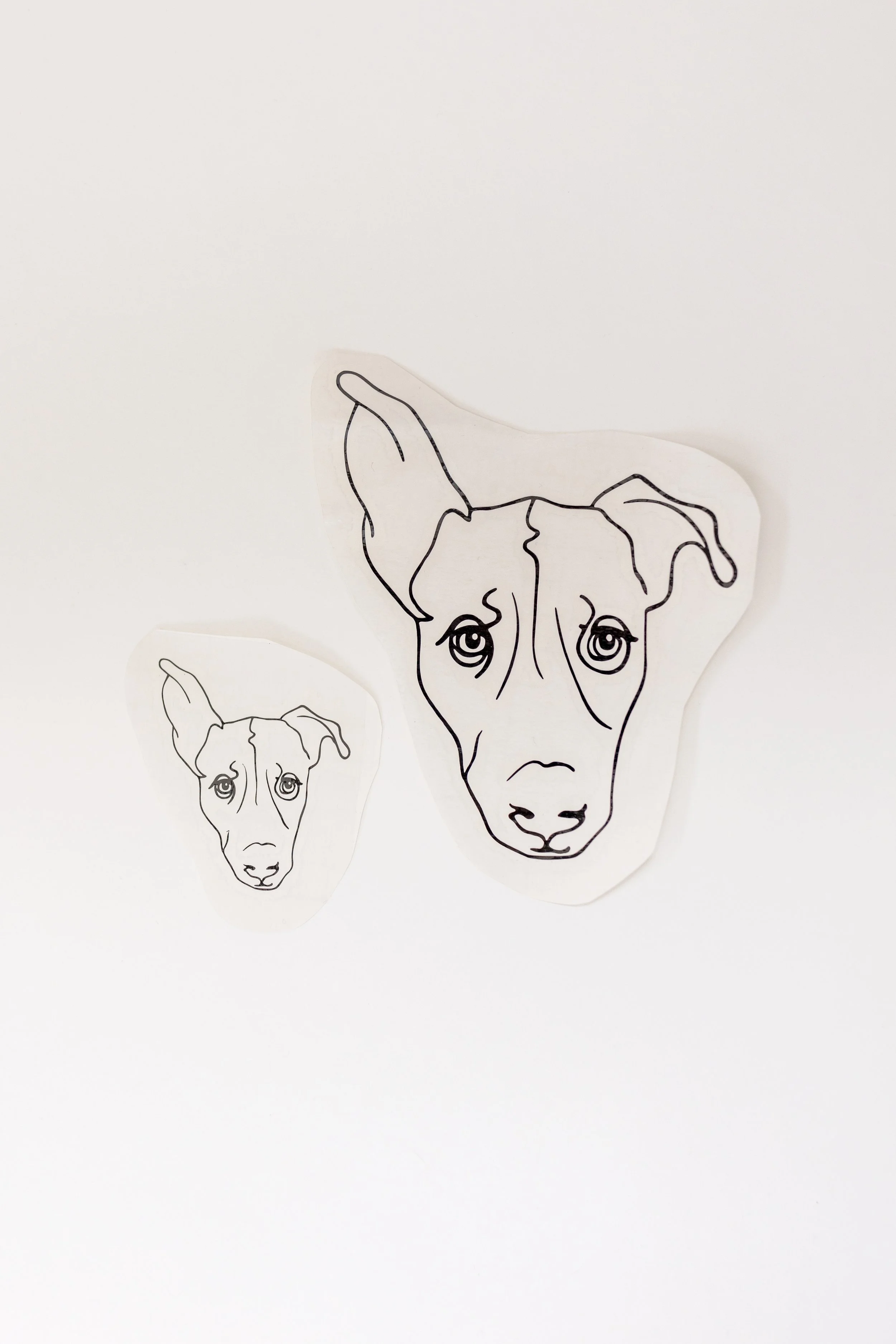 Shop — Save Our Scruff