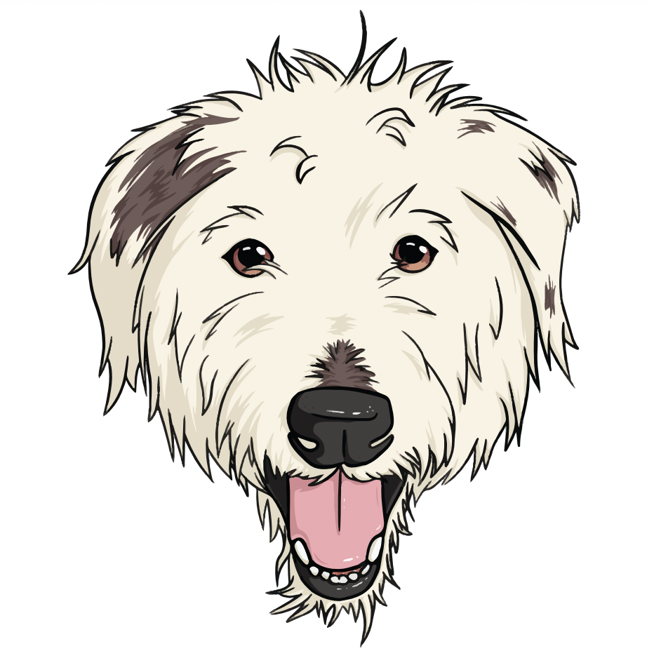 Shop — Save Our Scruff