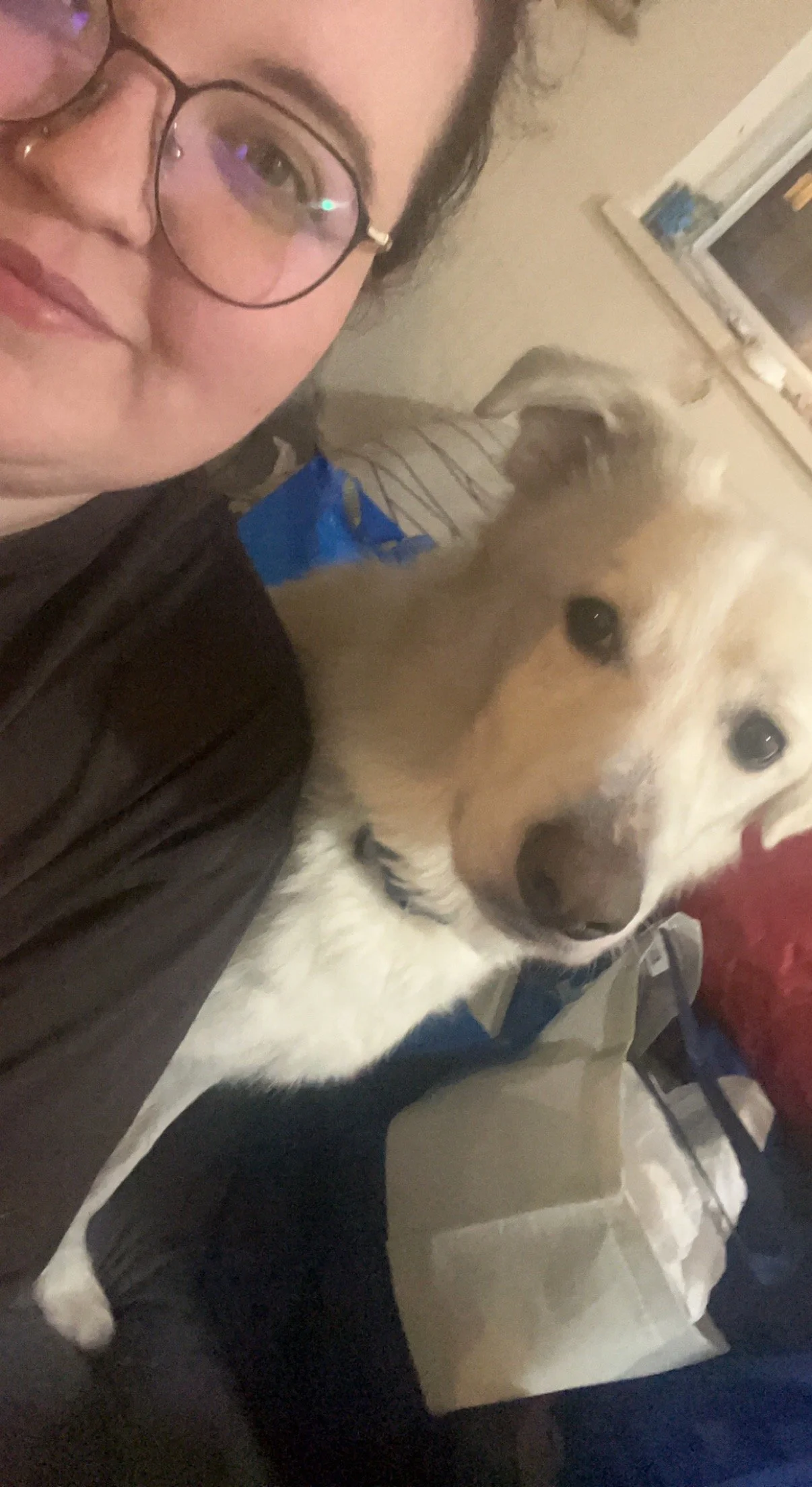 TAYLOR C | Save Our Scruff Canada