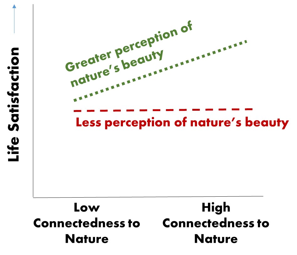 Do you see Beauty in Nature? You may be more Satisfied with Life ...