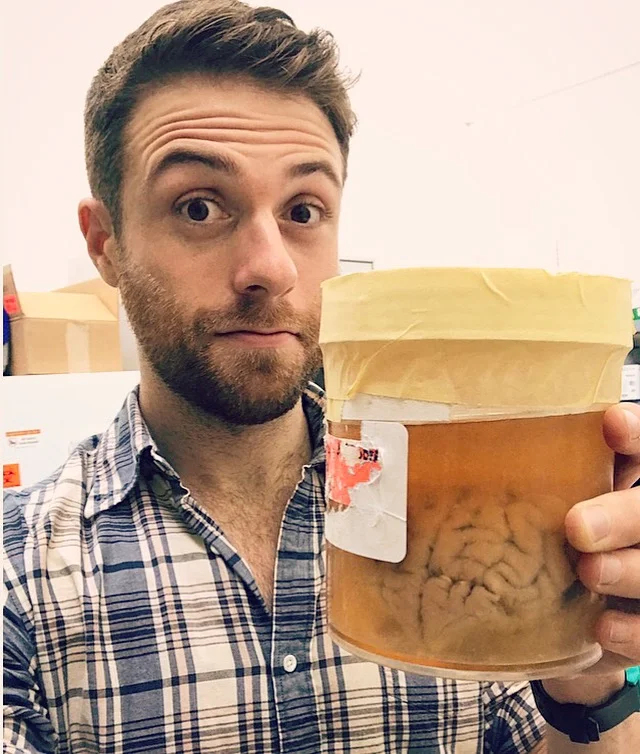 Arrival Behind-The-Scenes: The Intersection of Language, Brain Science ...