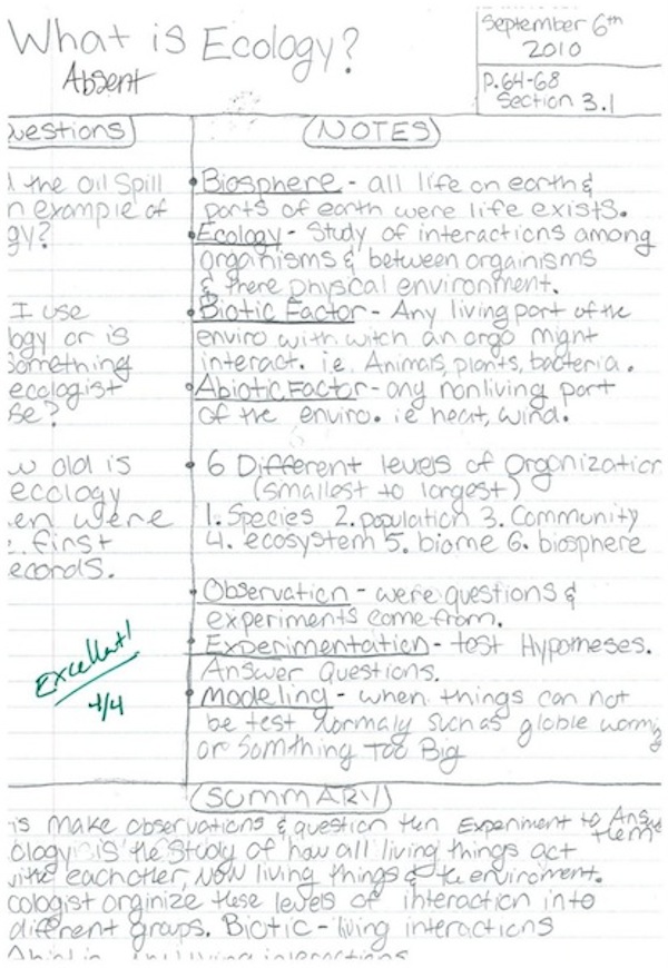 Cómo tomar notas con el método Cornell · el Canasto