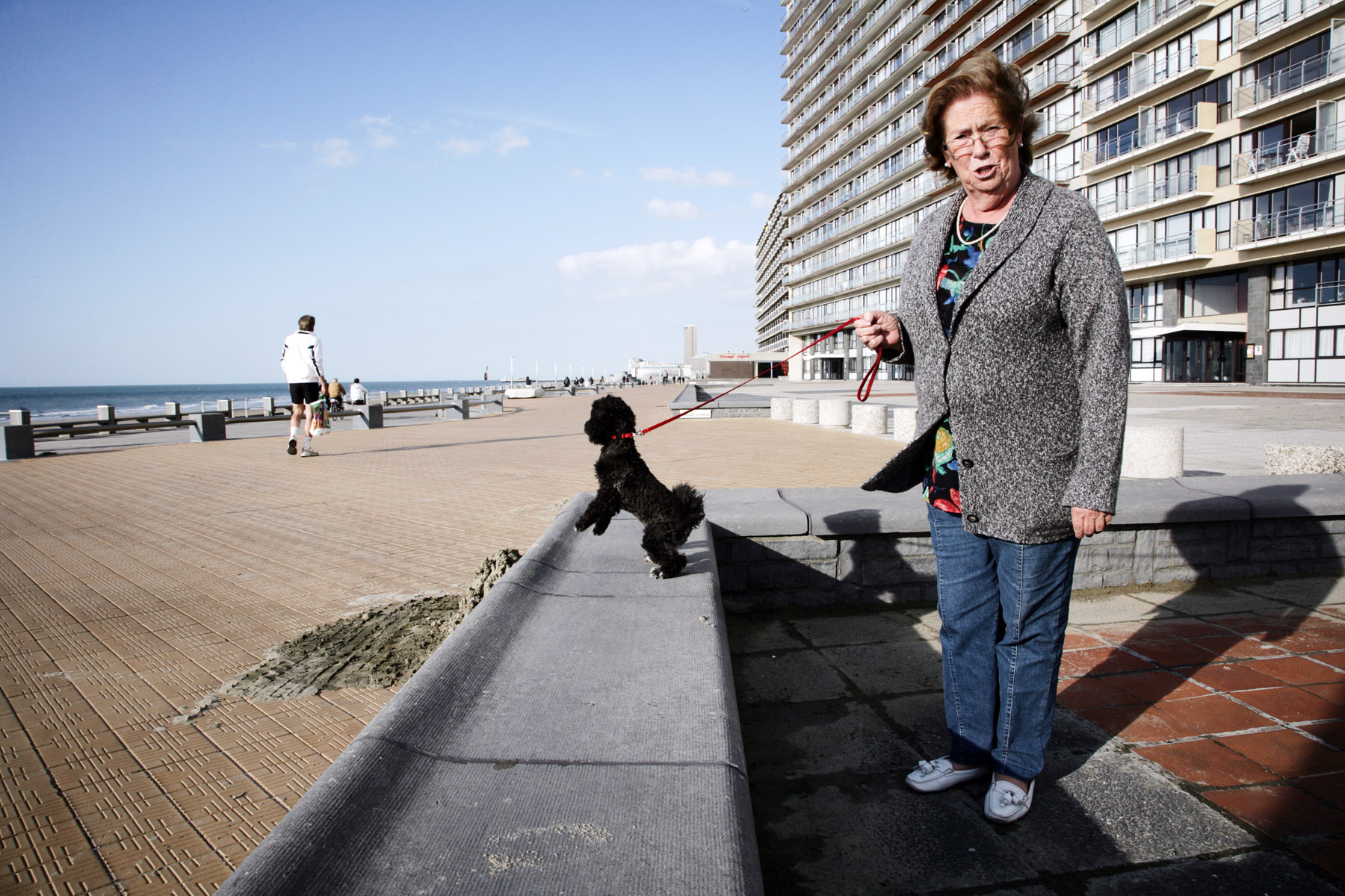 DOG DAYS — JO VOETS (PHOTOGRAPHER)