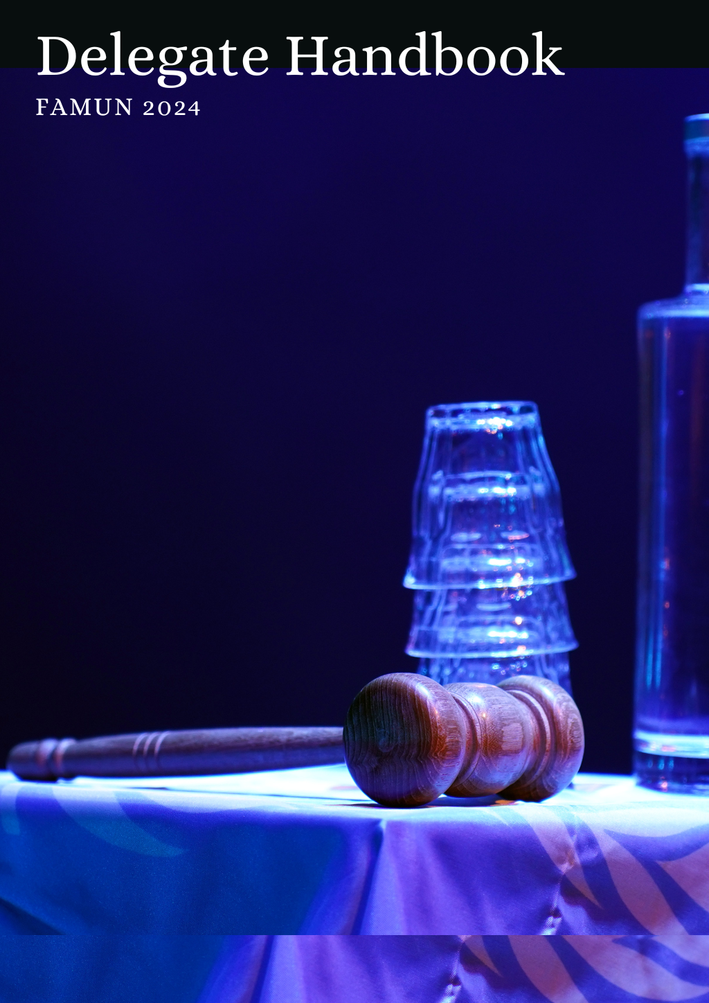 FAMUN - Important documents
