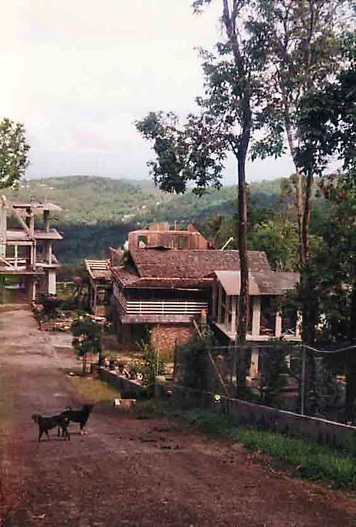 Our Story | Discover and Book Your Retreat — Rainforest Inn Boutique ...