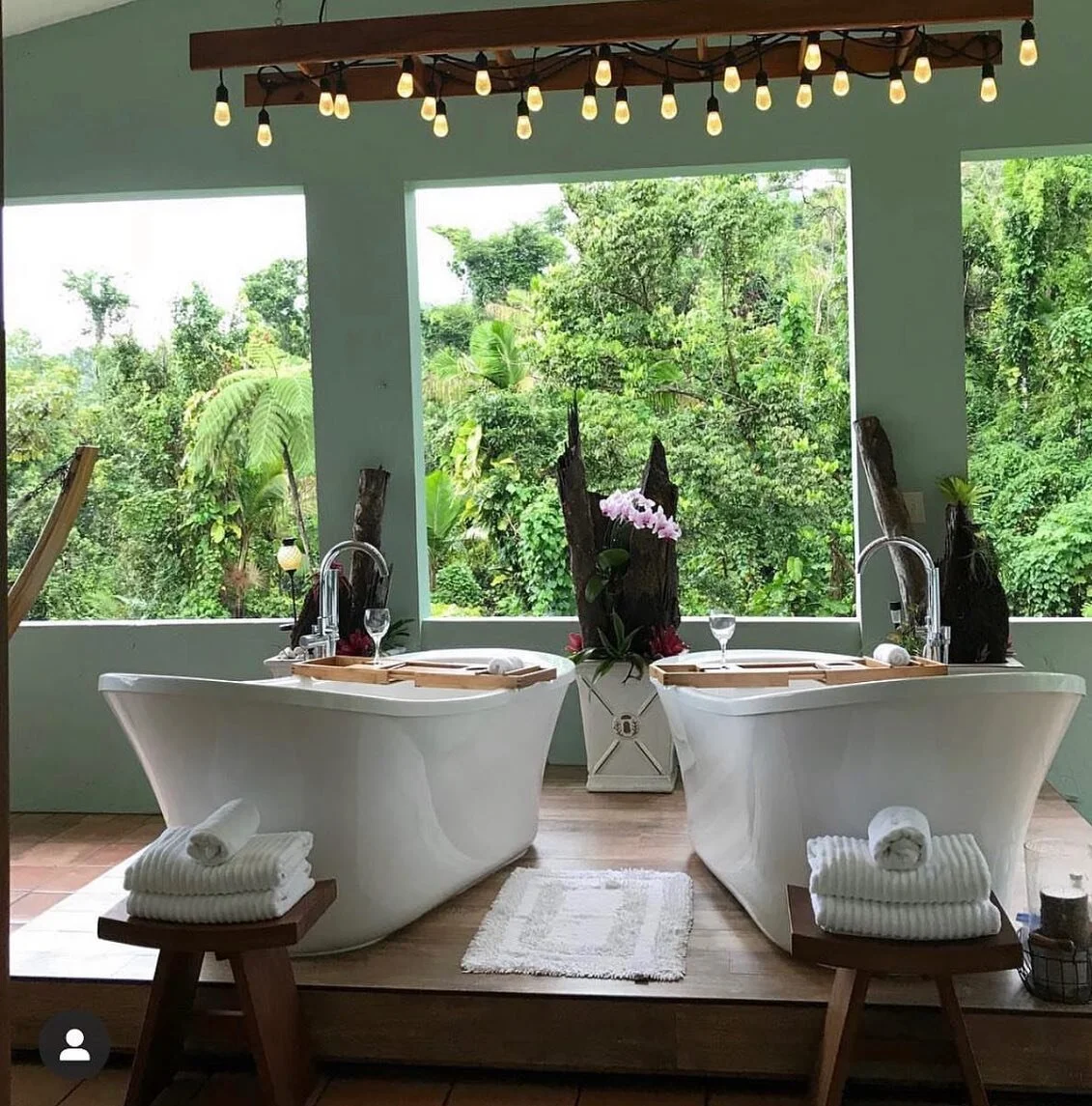 Our Story — Rainforest Inn Boutique Bed and Breakfast