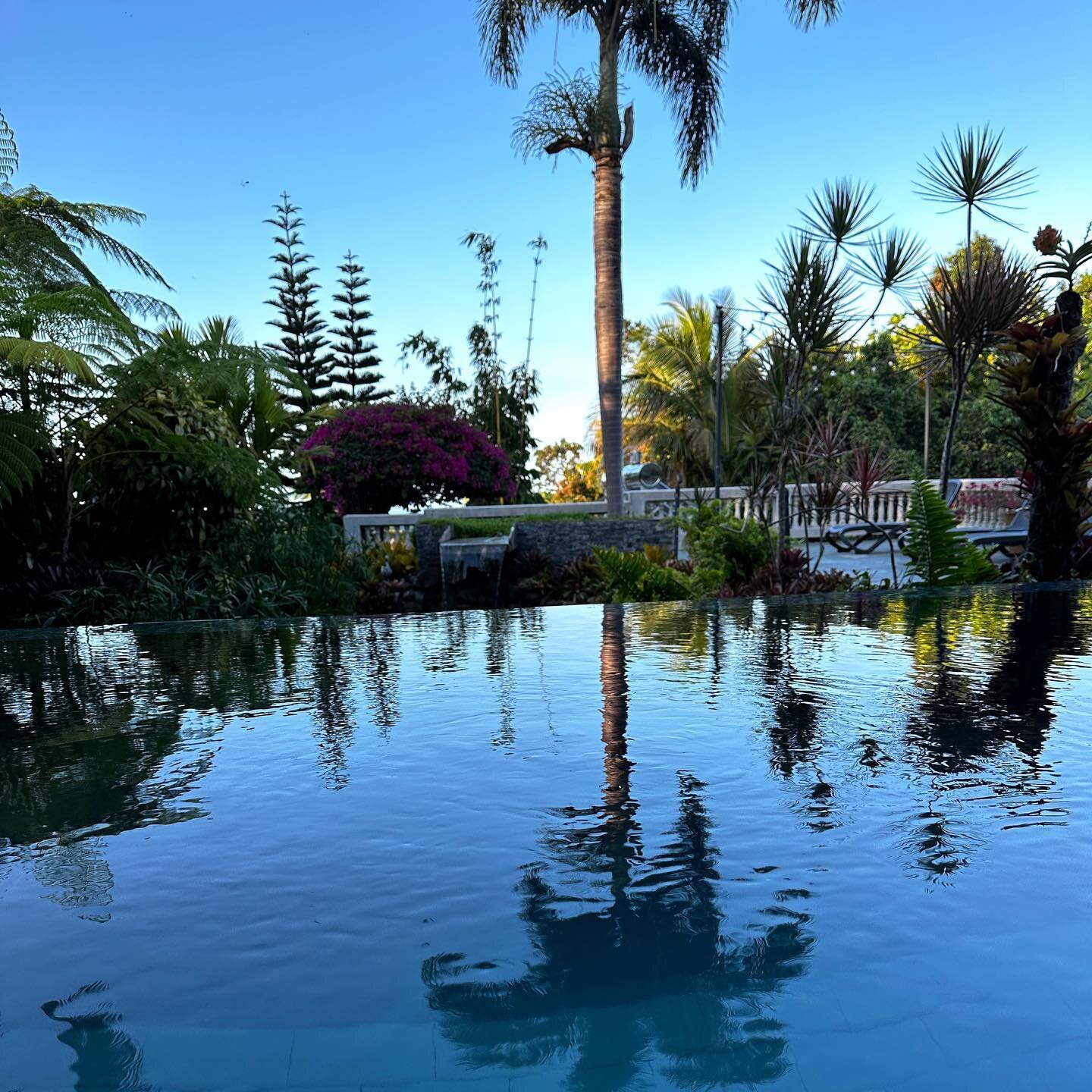 Secure Nature Hideaway — Rainforest Inn Boutique Bed and Breakfast