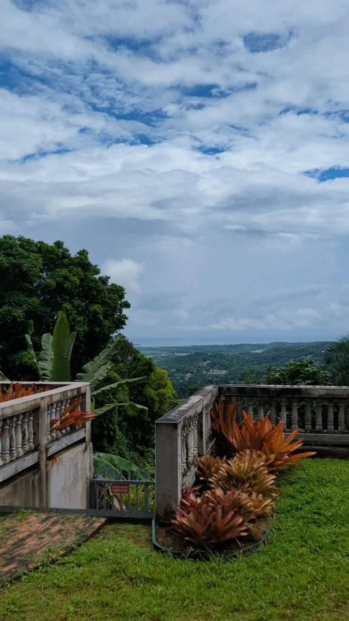 Itinerary — Rainforest Inn Boutique Bed and Breakfast