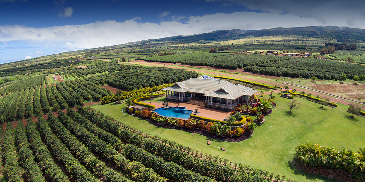 Photo & Video Gallery — Ka‘anapali Coffee Farms