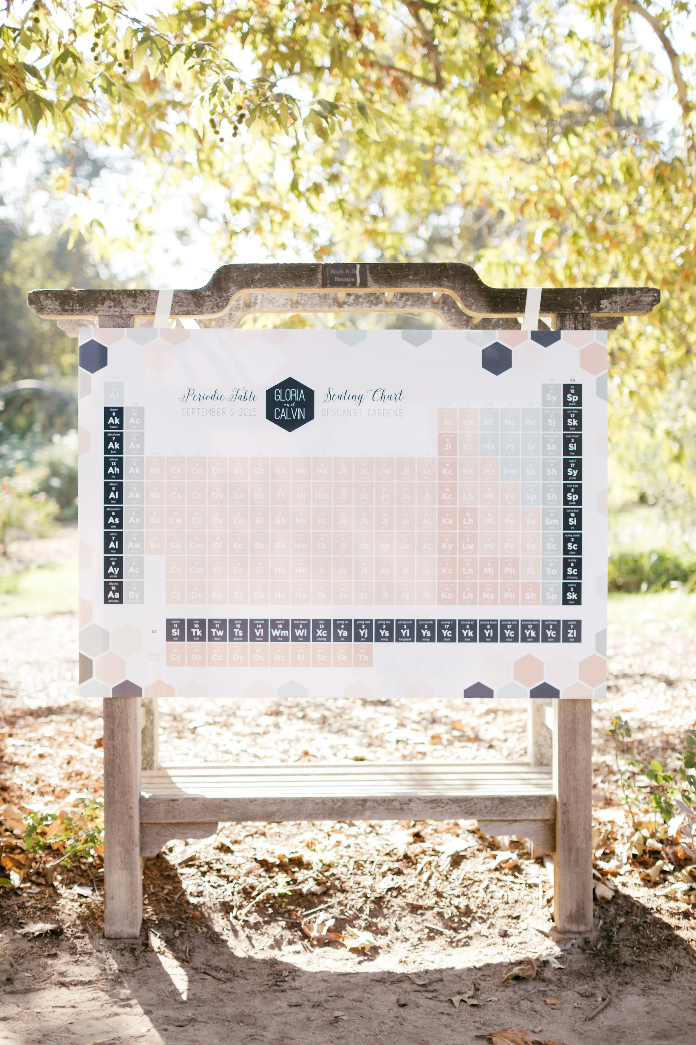 A Science Themed Wedding — PAPER HAVEN SHOP