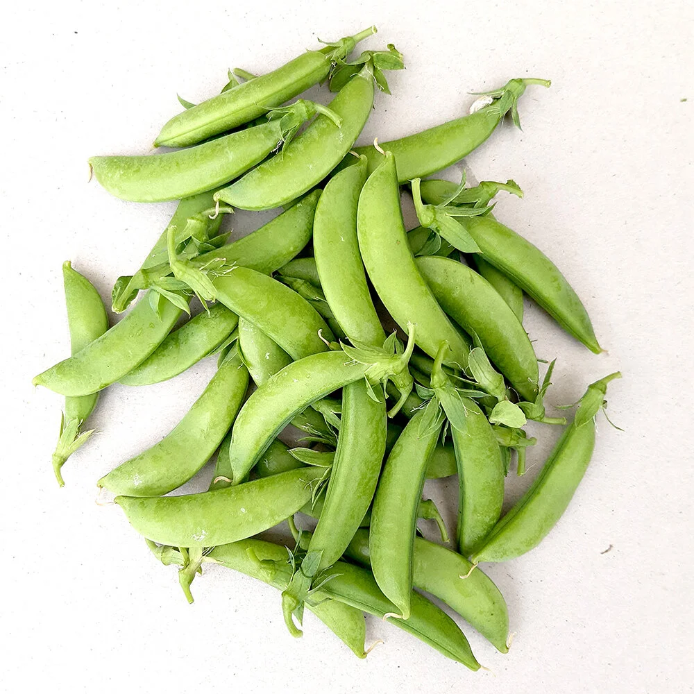 Shop All — Pocket City Farms