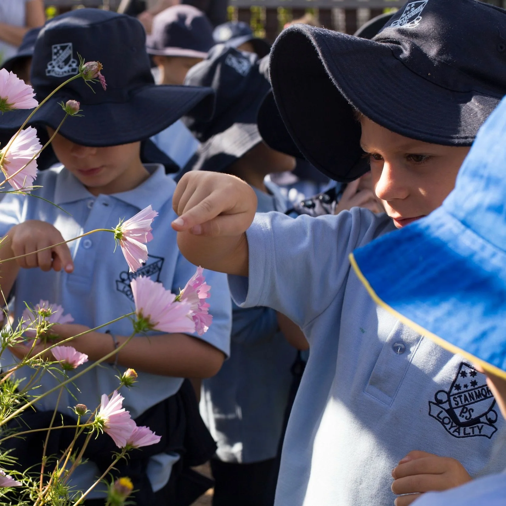 Primary School Excursions — Pocket City Farms