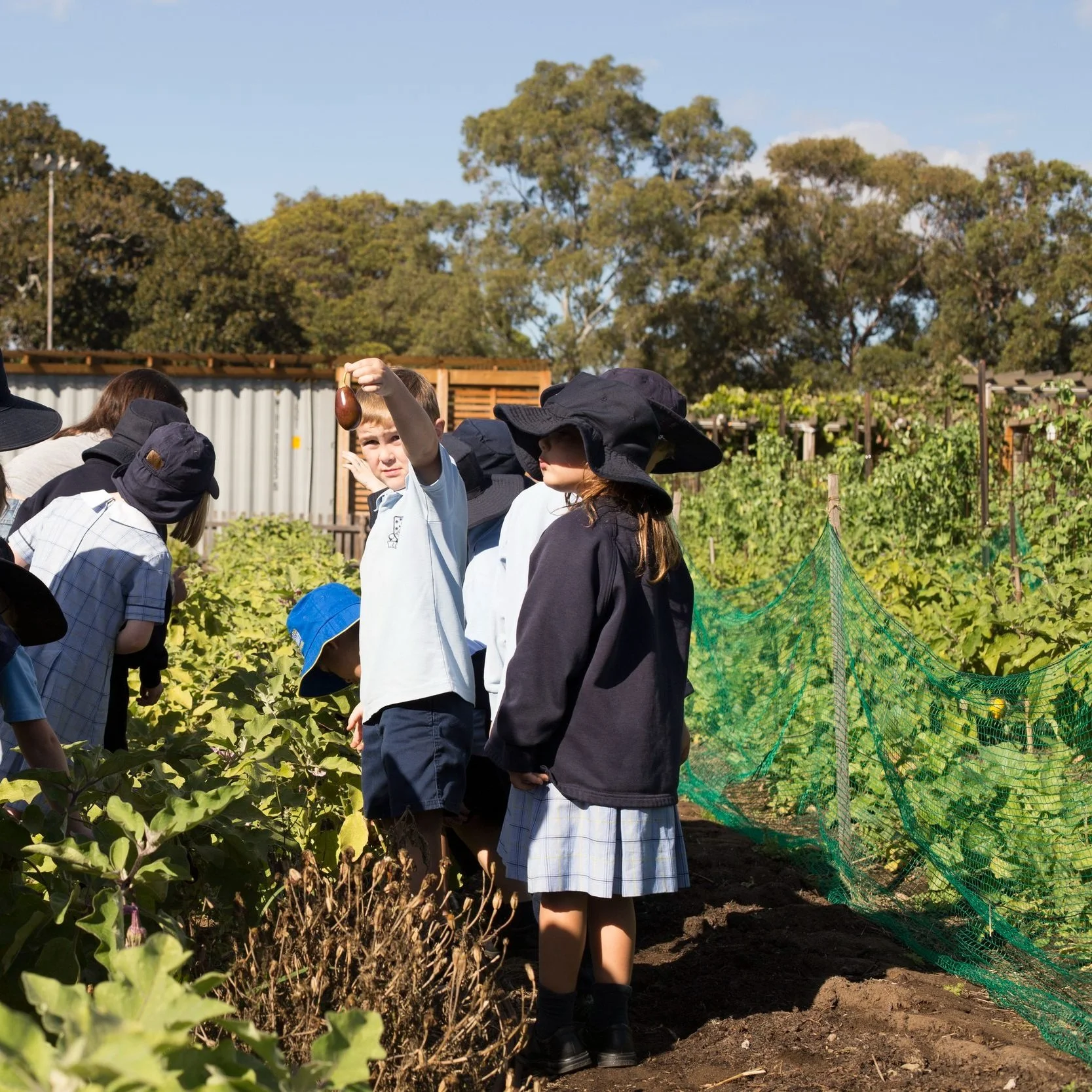 Eco-Friendly Primary School Excursions: Regenerative Agriculture & Sustainability — Pocket City ...