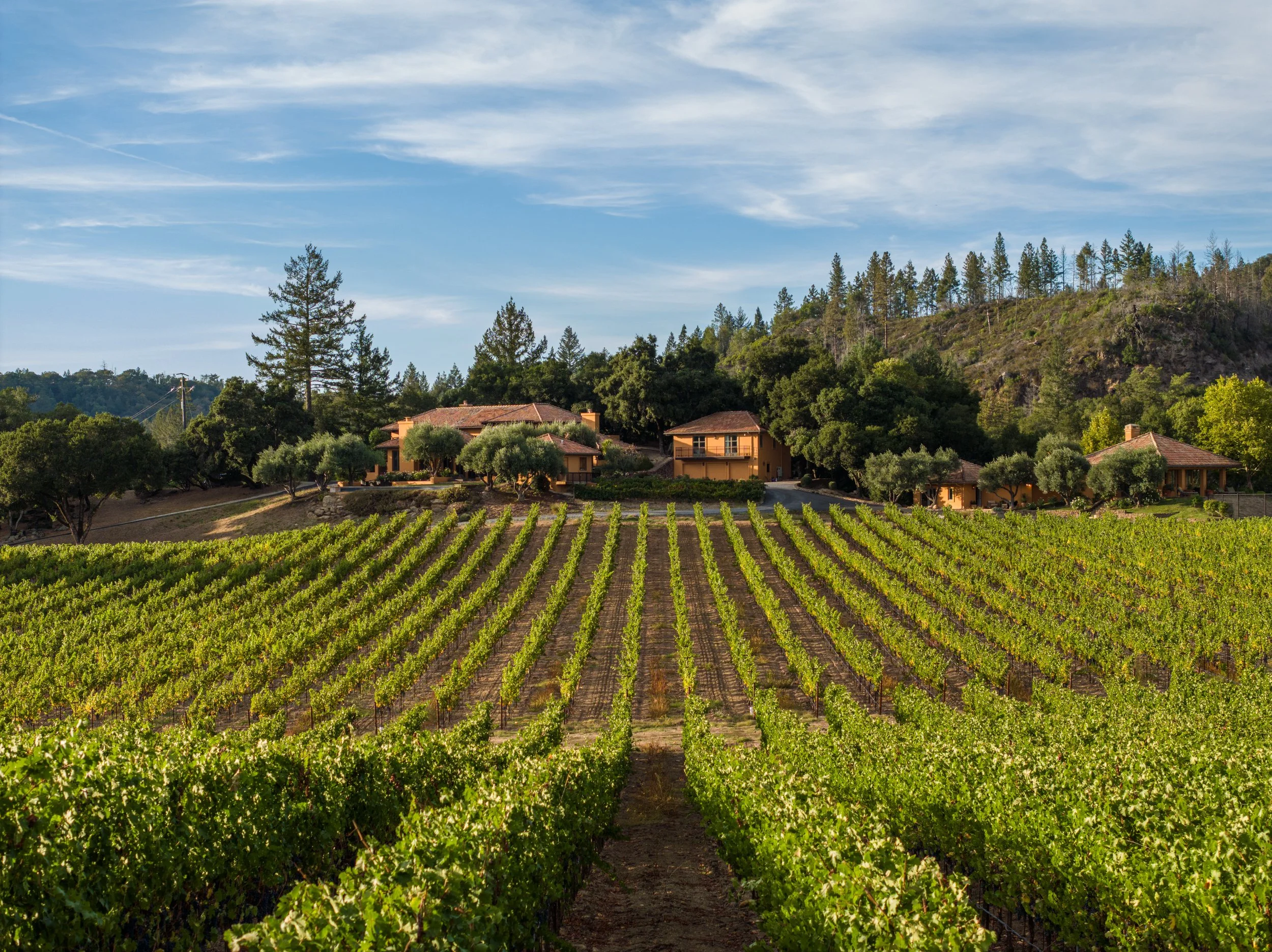 Bart Edson Photography and Videography - Real Estate, Architecture ...