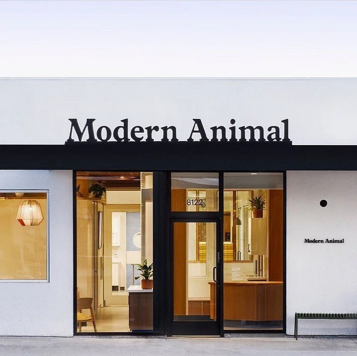 Modern Animal — for next-generation vet services — The Challenger ...