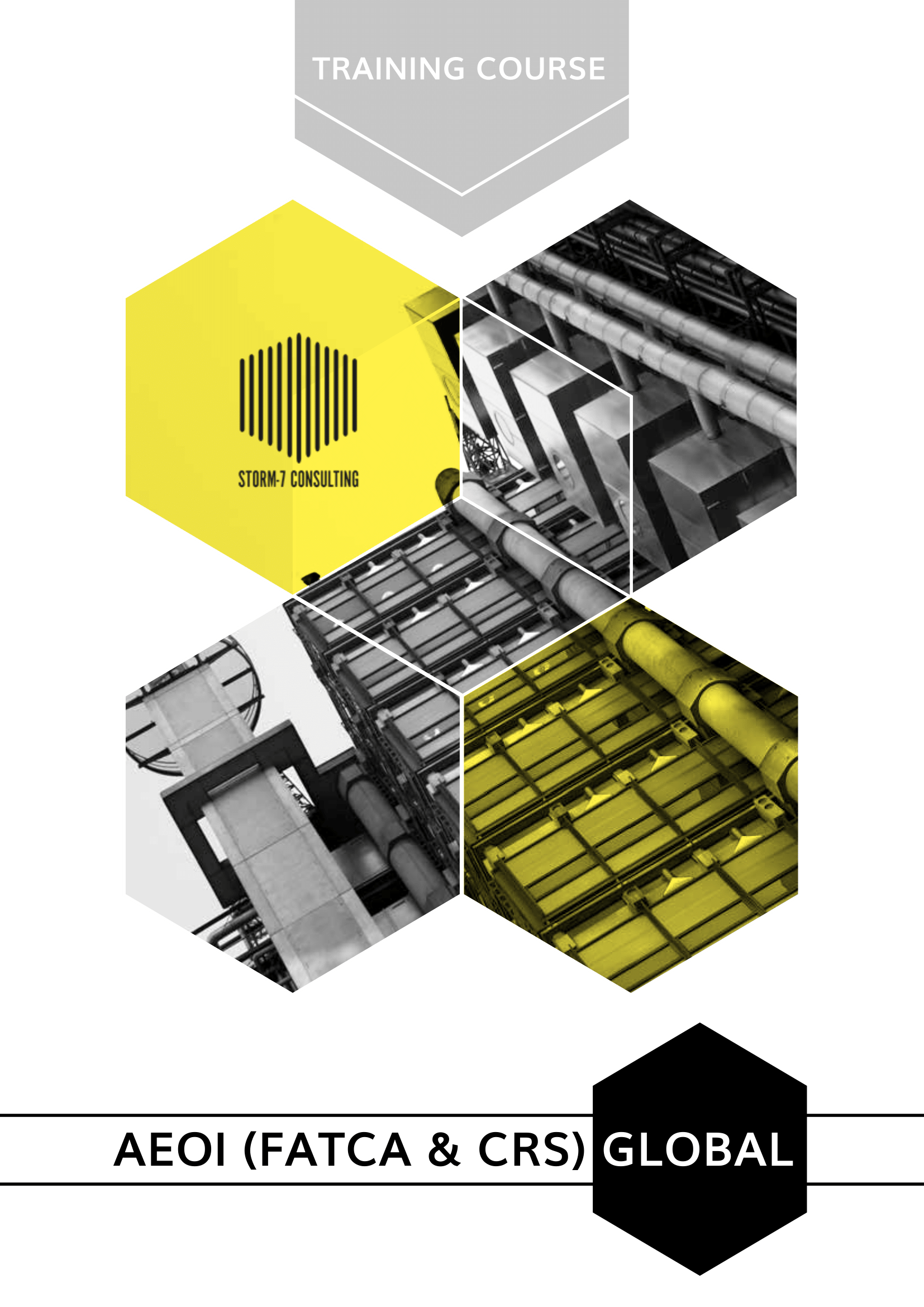 AEOI (FATCA and CRS) Compliance and Technology Training Materials — S7C