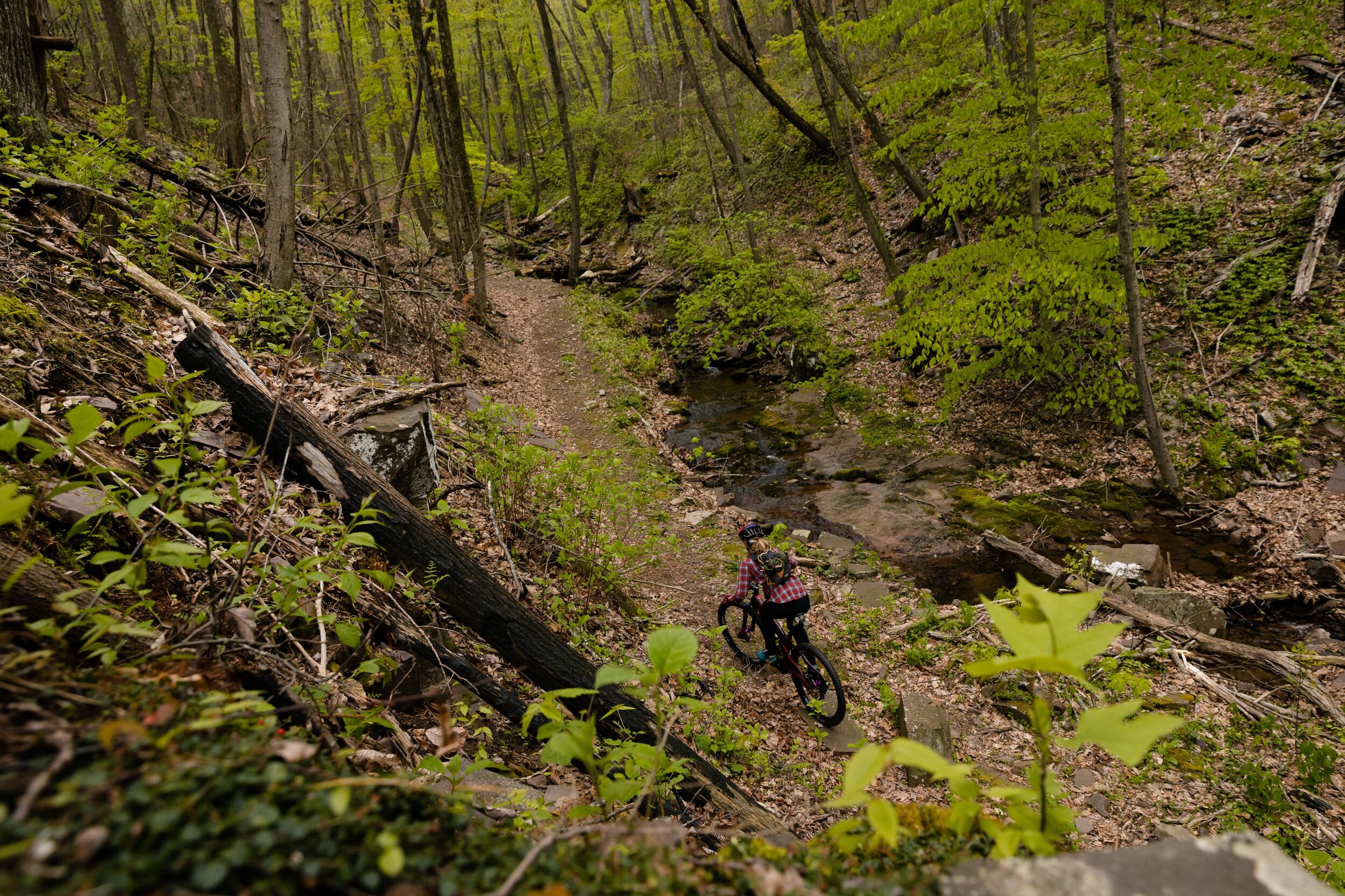 Big Hollow / Hone Quarry Ridge / Cliff Trail — Rocktown Bicycles