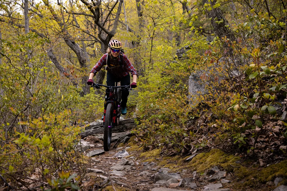 Big Hollow / Hone Quarry Ridge / Cliff Trail — Rocktown Bicycles