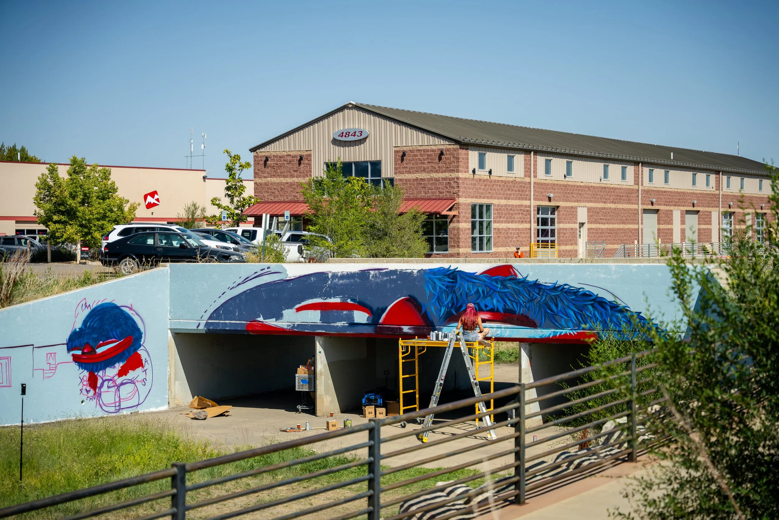 Mr B Baby — Street Wise Arts