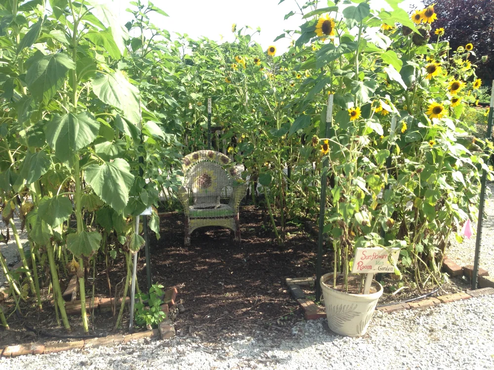 Sunflower Room — Master Gardener Association of Tippecanoe County
