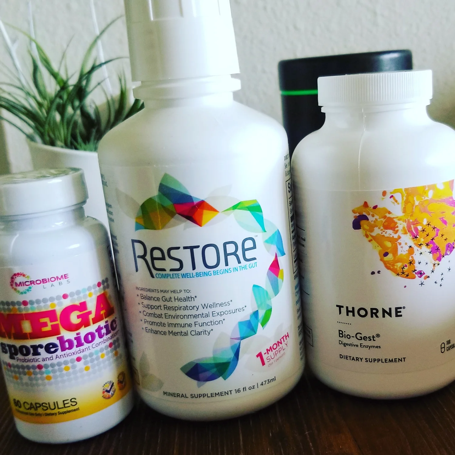 30 Day Gut Restore Program — Metabolic Solutions