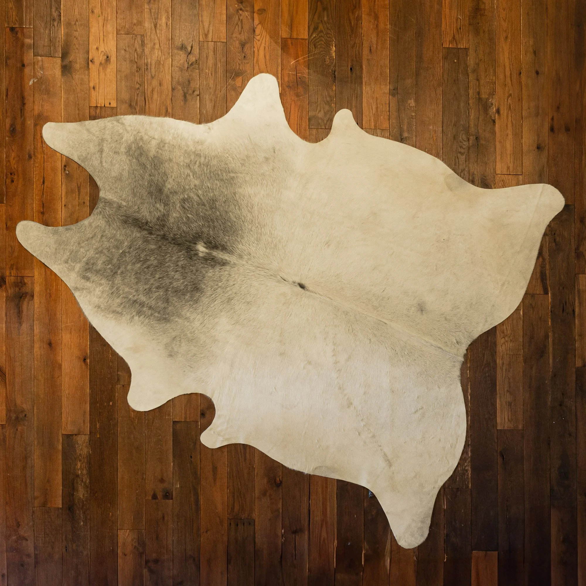 Nguni South African Ivory Cowhide Rugs — Dixon Rye®