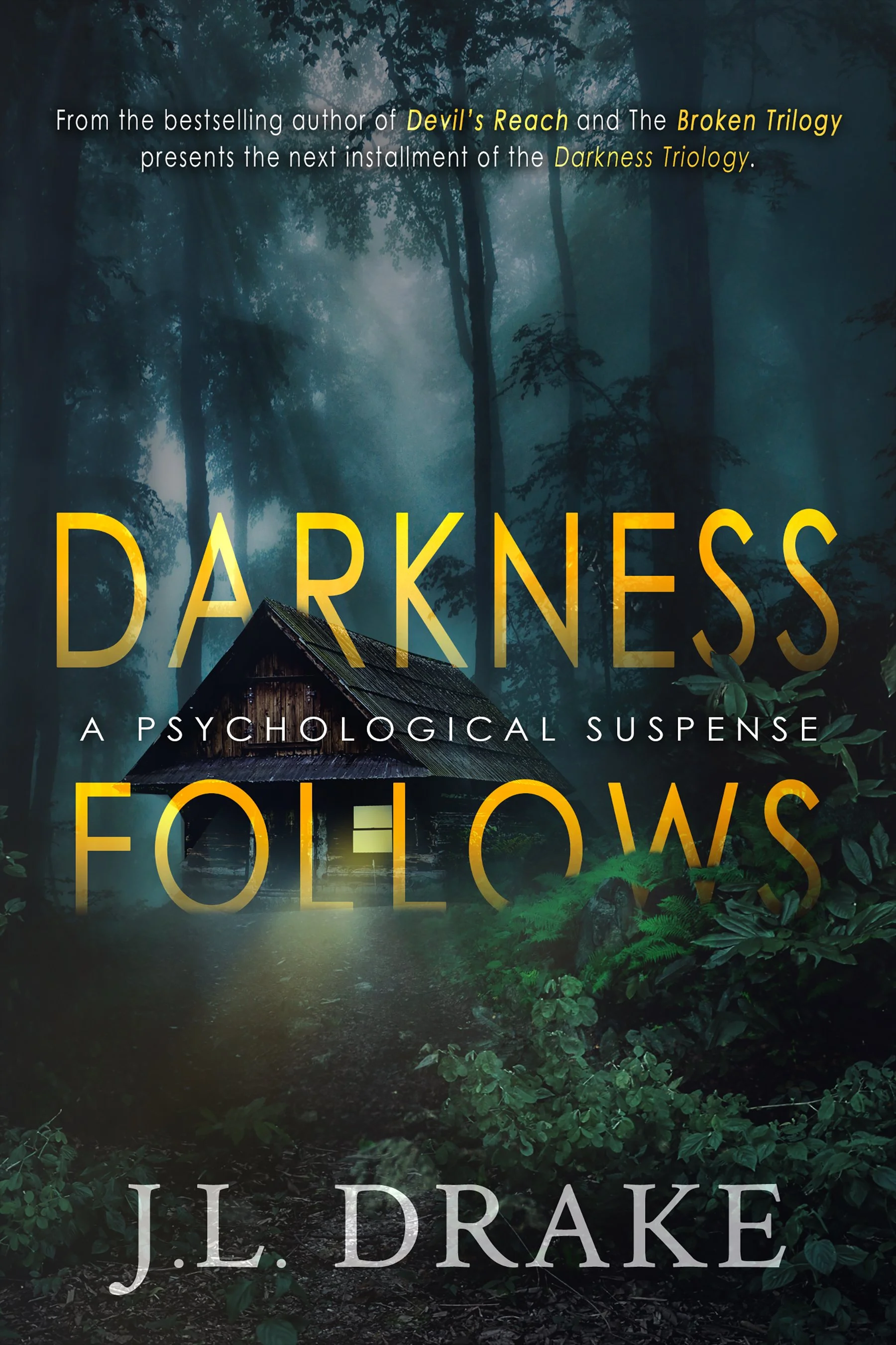 Darkness Follows — J.L. Drake