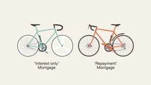 Alex Covella - Animation & Illustration