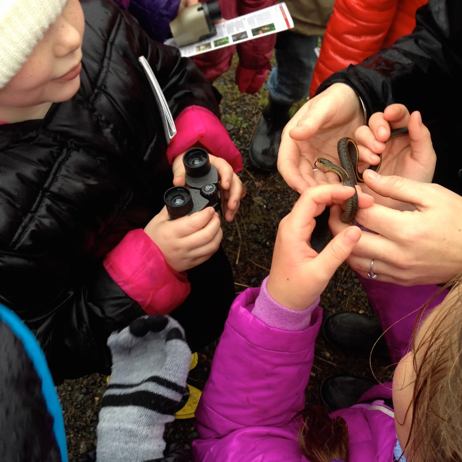 Elementary — Ecology in Classrooms & Outdoors