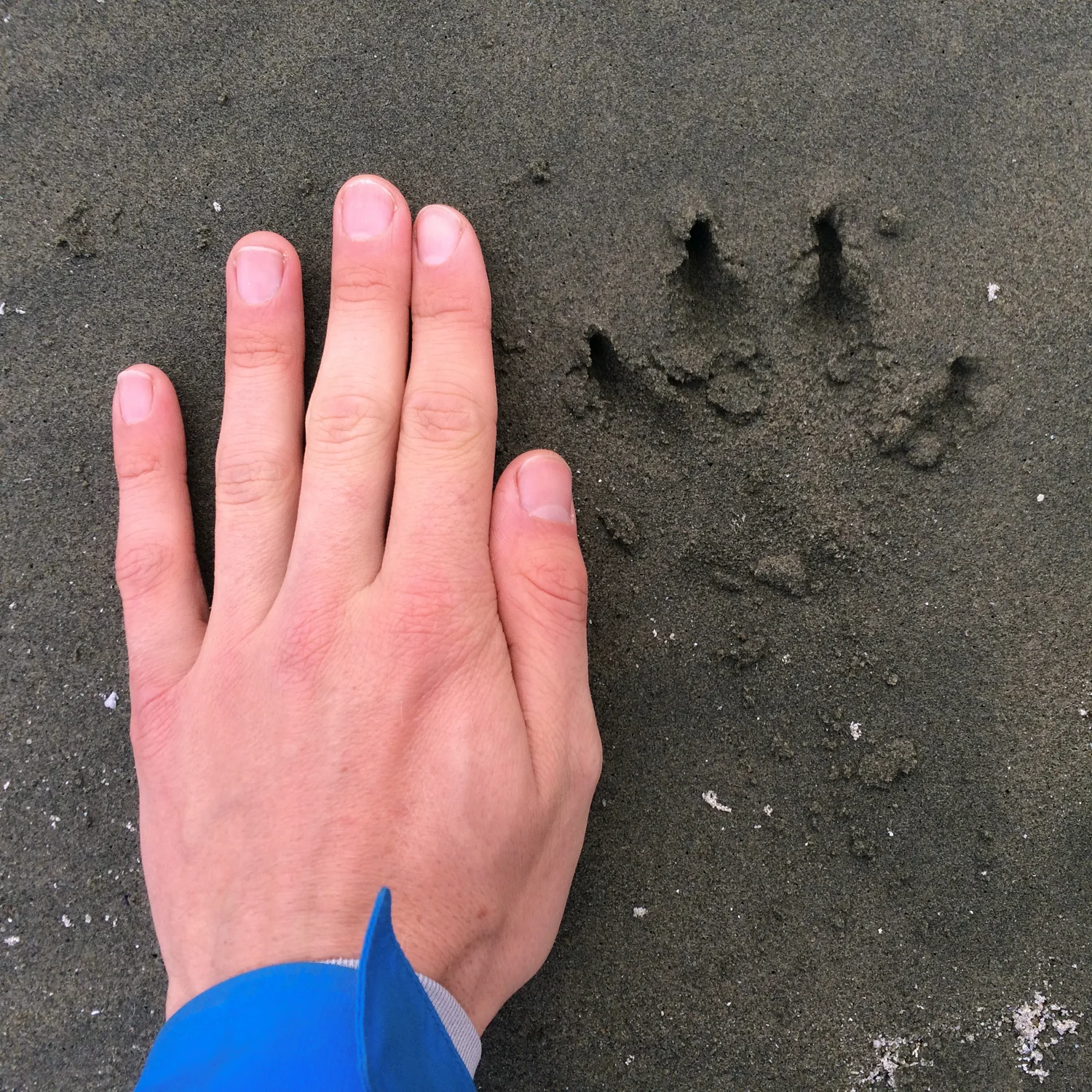 JESS FINDLAY PHOTOGRAPHY — Become a Better Wildlife Photographer ...