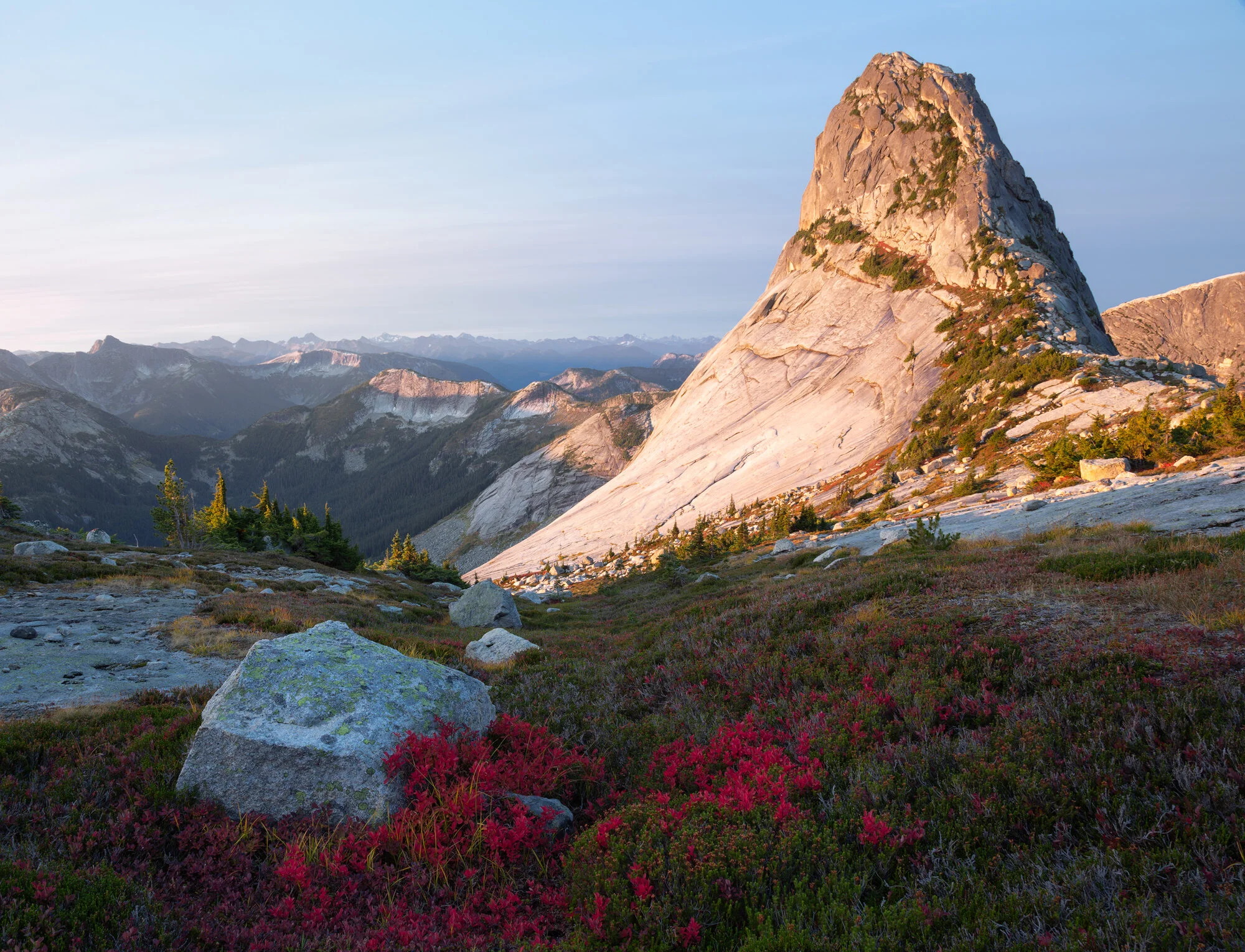 JESS FINDLAY PHOTOGRAPHY — Top Images of 2020