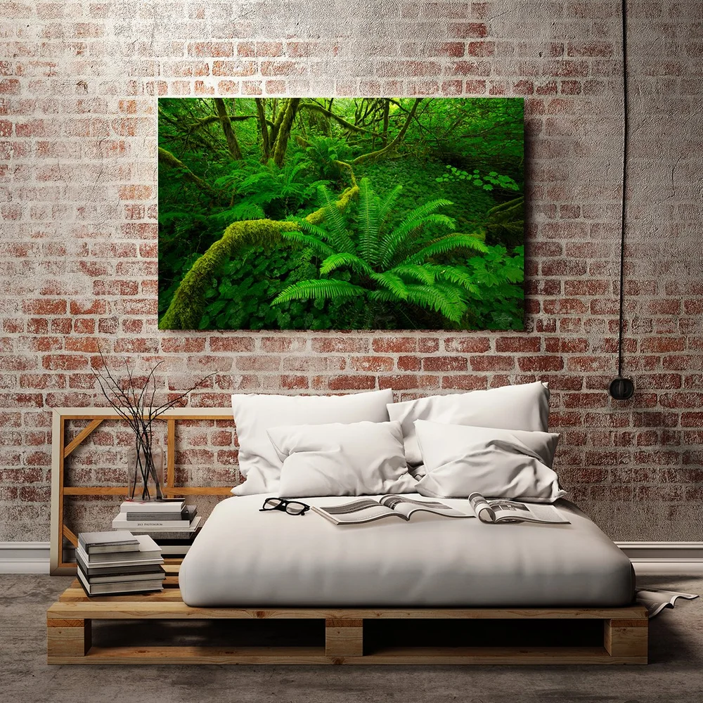 JESS FINDLAY PHOTOGRAPHY — Prints