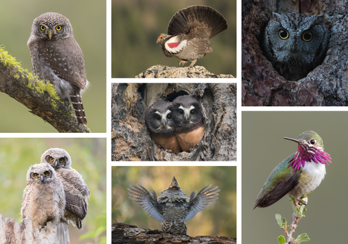 JESS FINDLAY PHOTOGRAPHY — Workshops