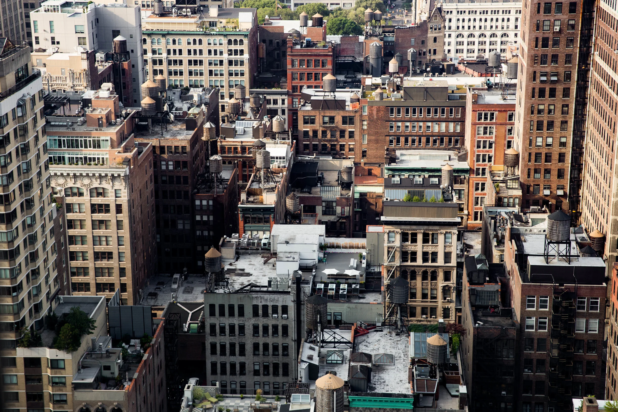 New York — Rebecca Dale