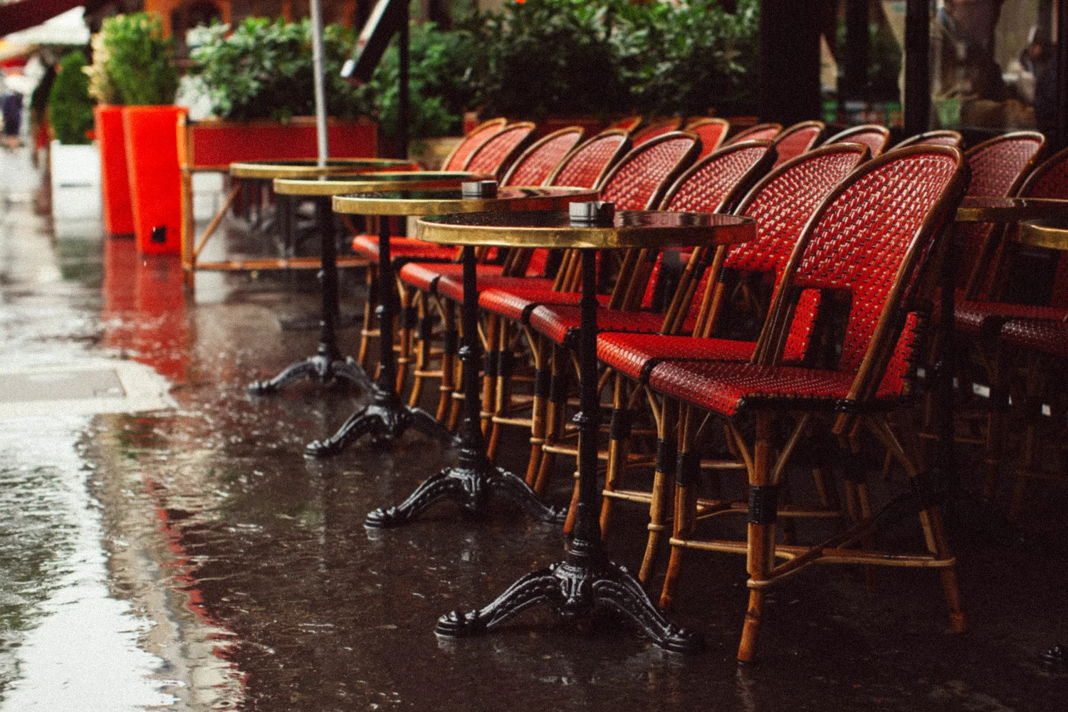 Paris — Rebecca Dale