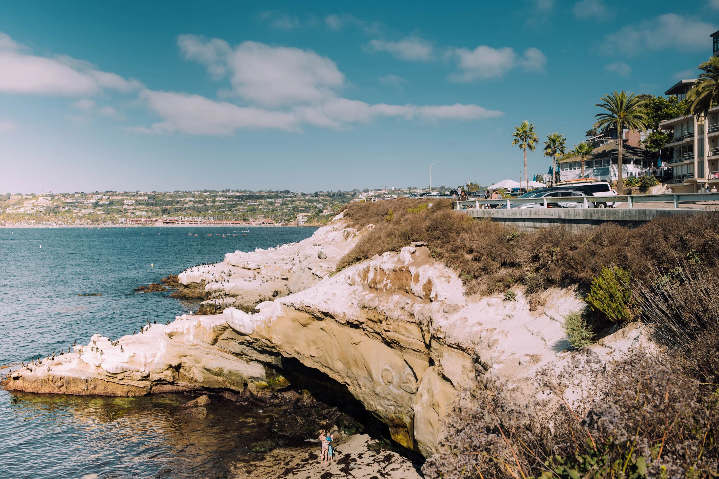 La Jolla San Diego — Rebecca Dale