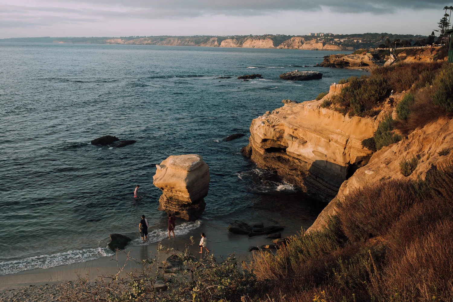 La Jolla San Diego — Rebecca Dale