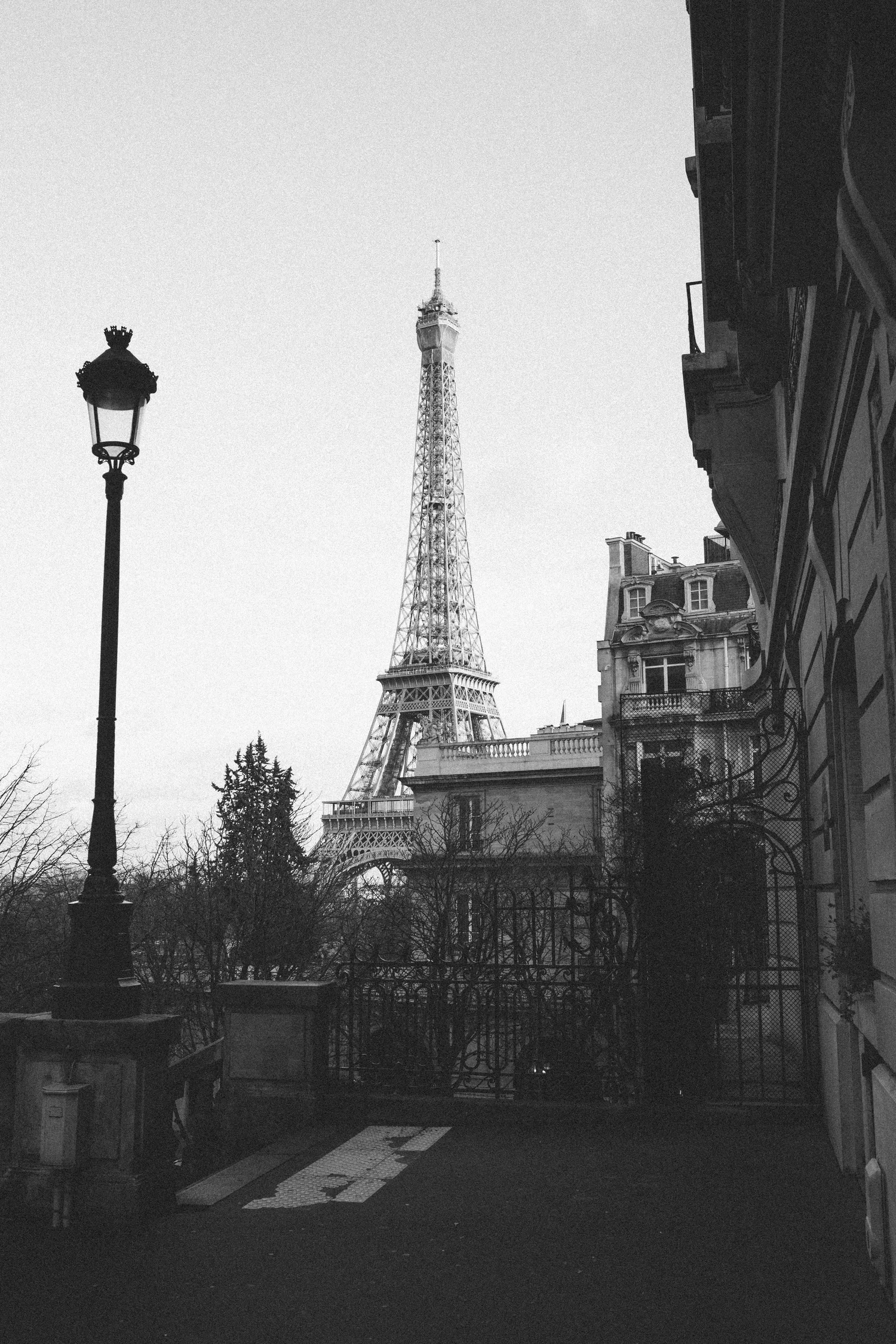 Paris — Rebecca Dale