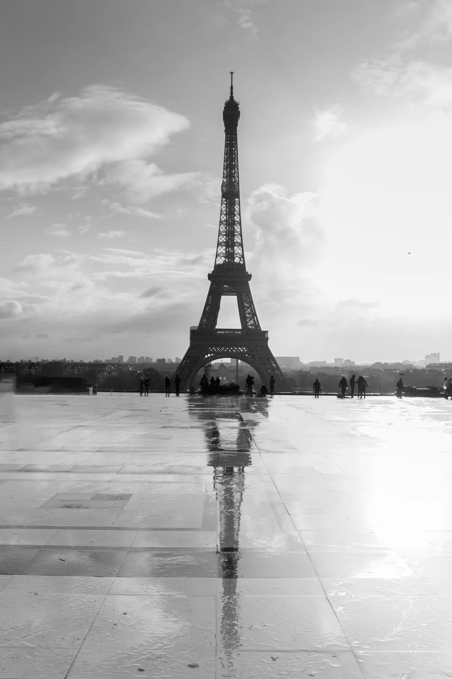 Paris — Rebecca Dale