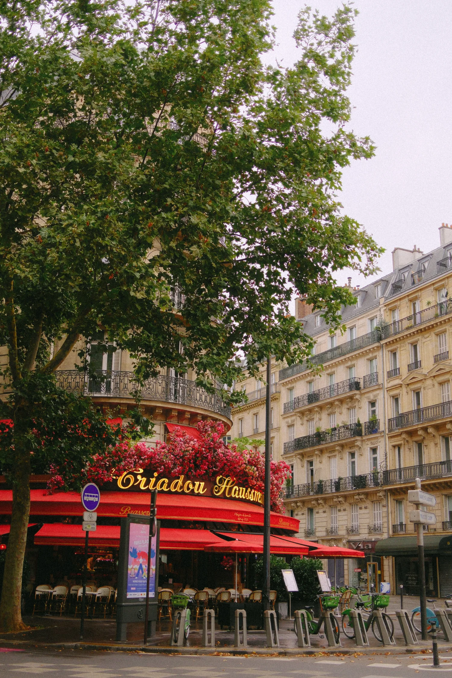Paris — Rebecca Dale