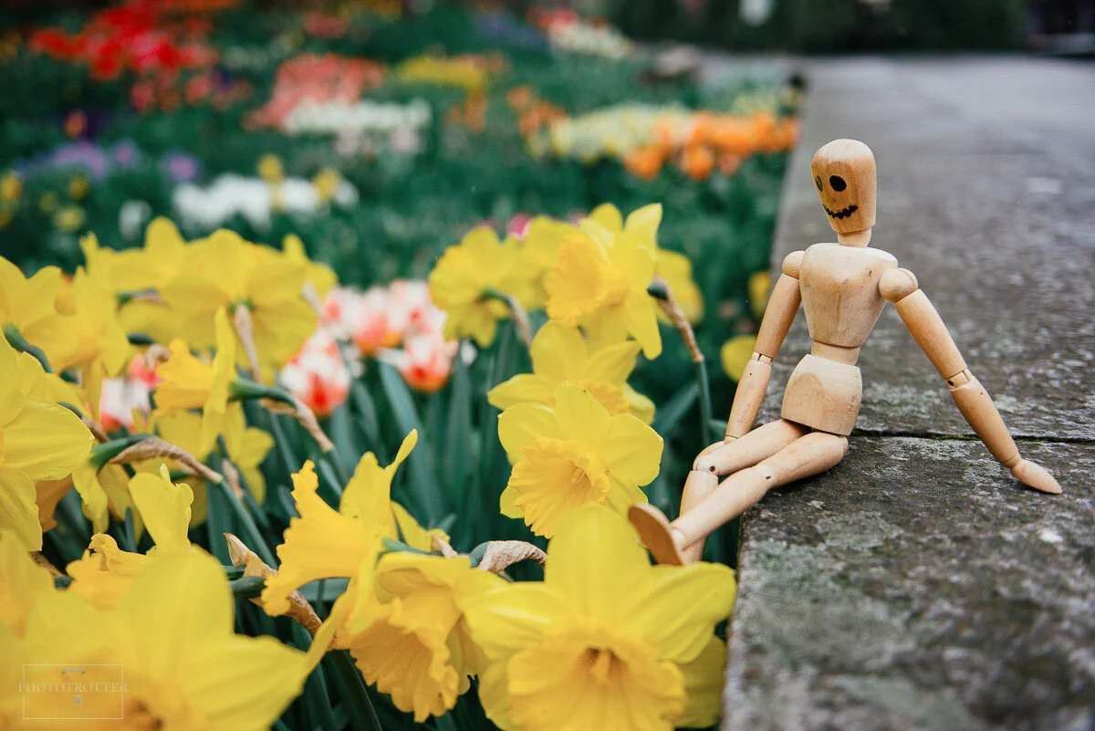 Phototrotter — Flower island Mainau on Lake Constance / Bodensee