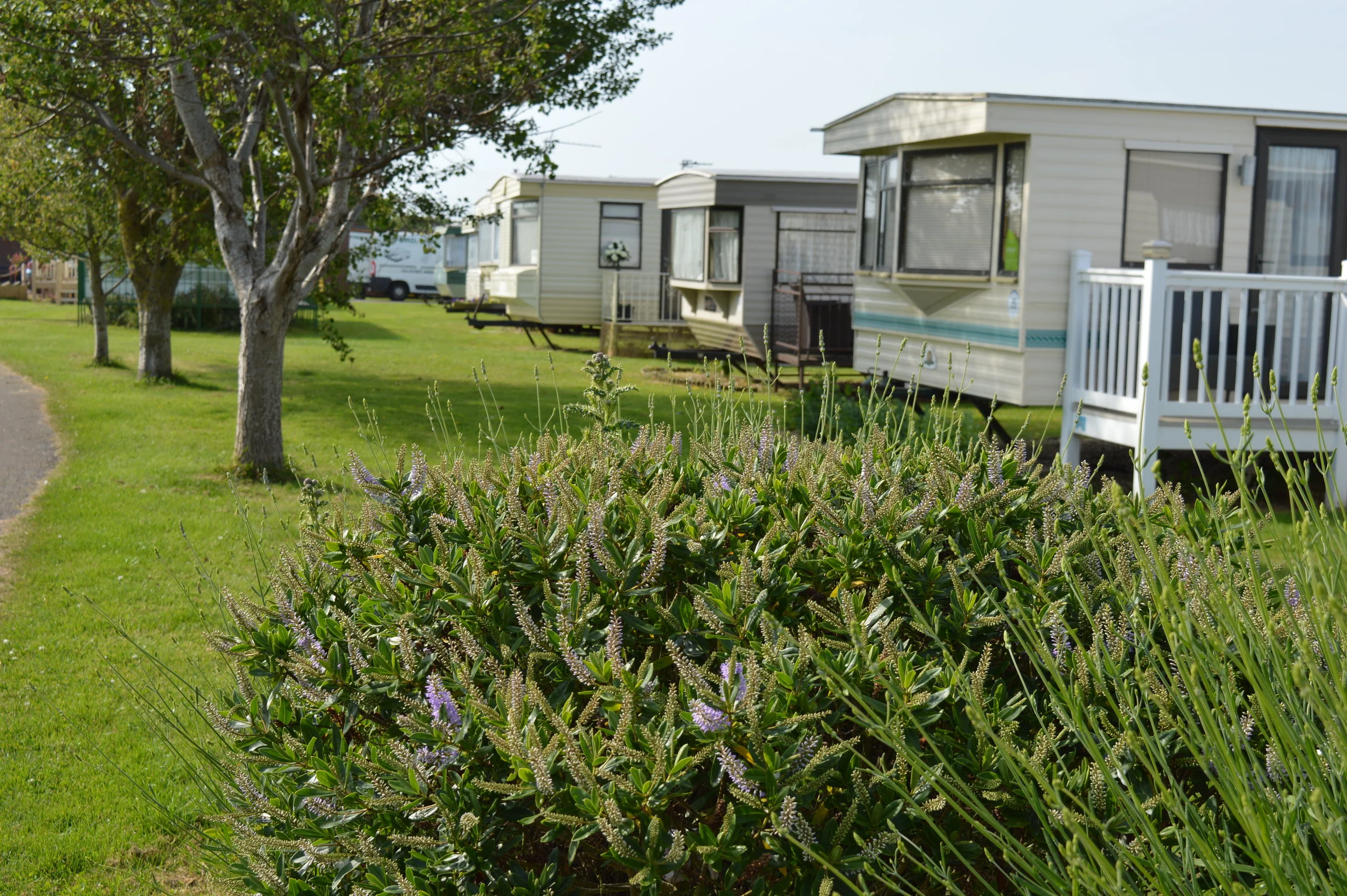 Static Caravan Park Lincolnshire Bring Your Own Caravan Site