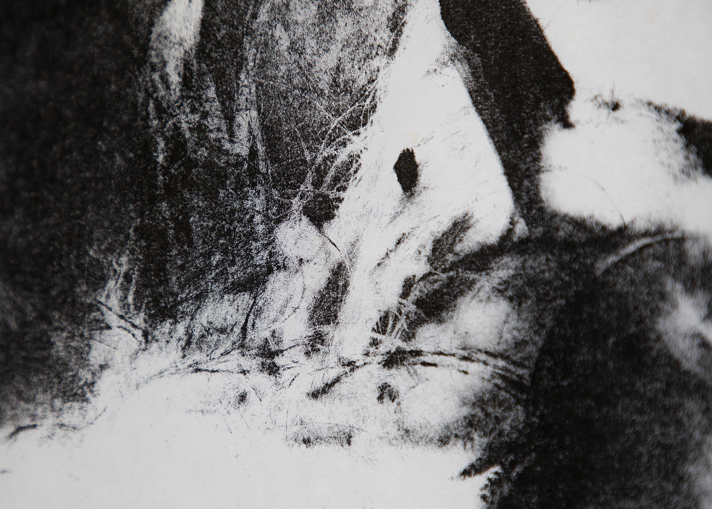 two bodies — maria erikson