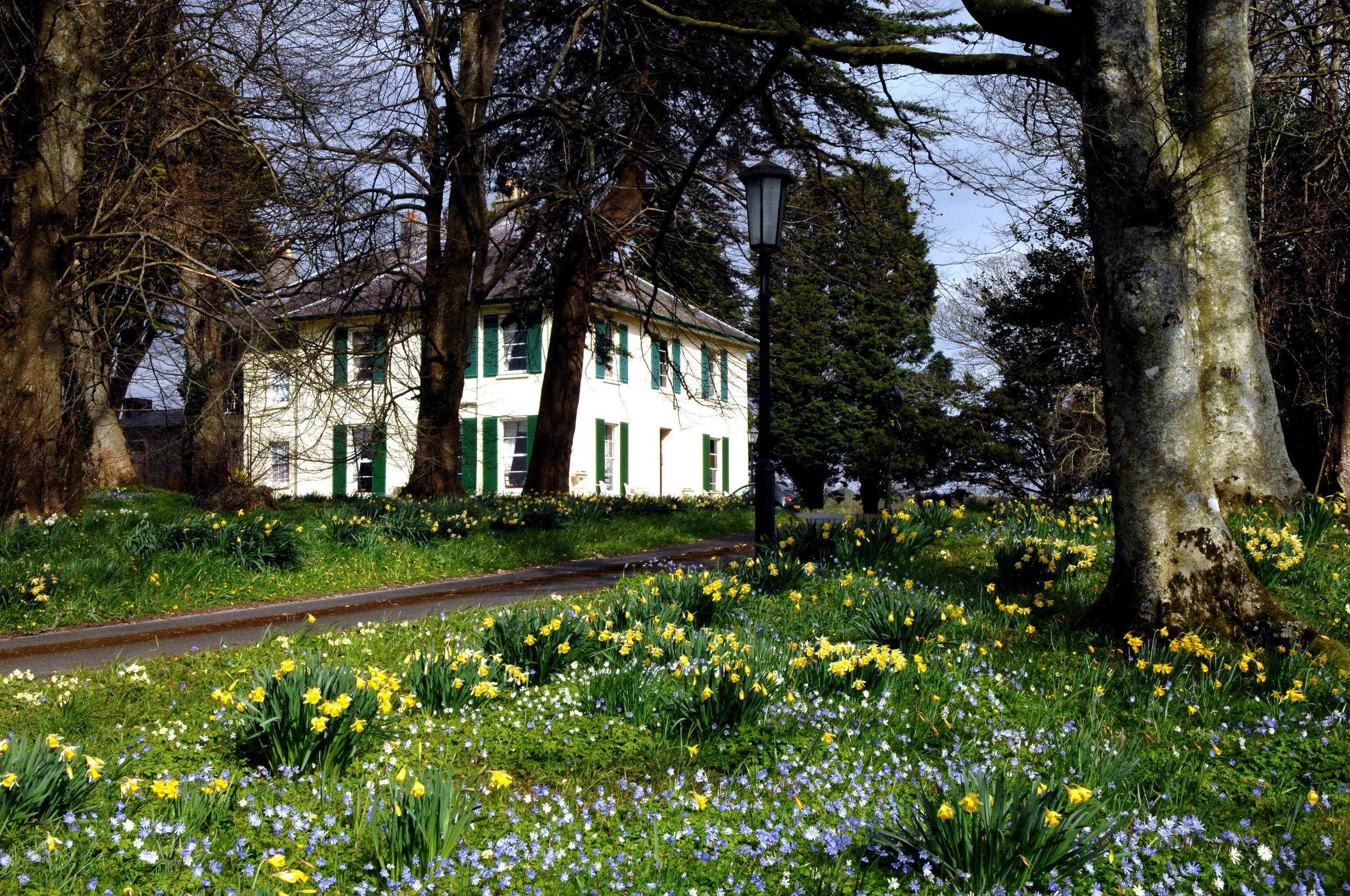 Beautiful Grounds — Elm Grove Country House